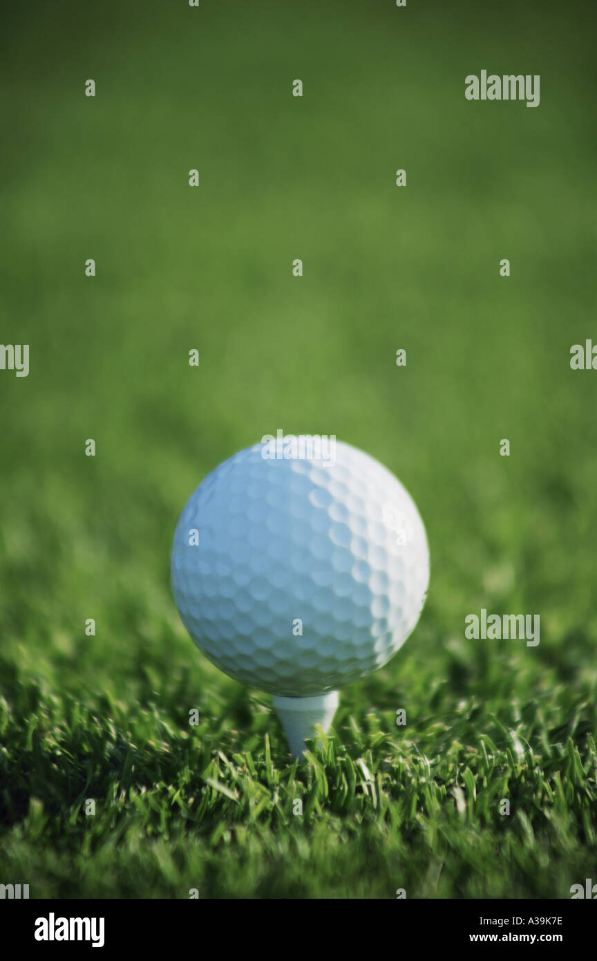 Golf ball on tee Stock Photo - Alamy