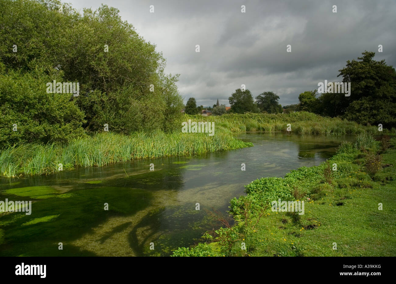 River Test, Stockbridge, Hampshire, England Stock Photo - Alamy