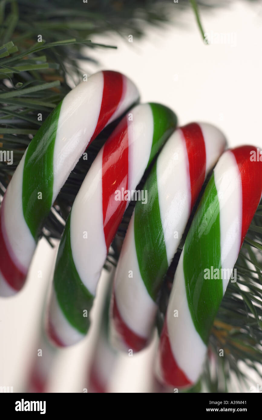 Candy canes hanging from tree Stock Photo - Alamy