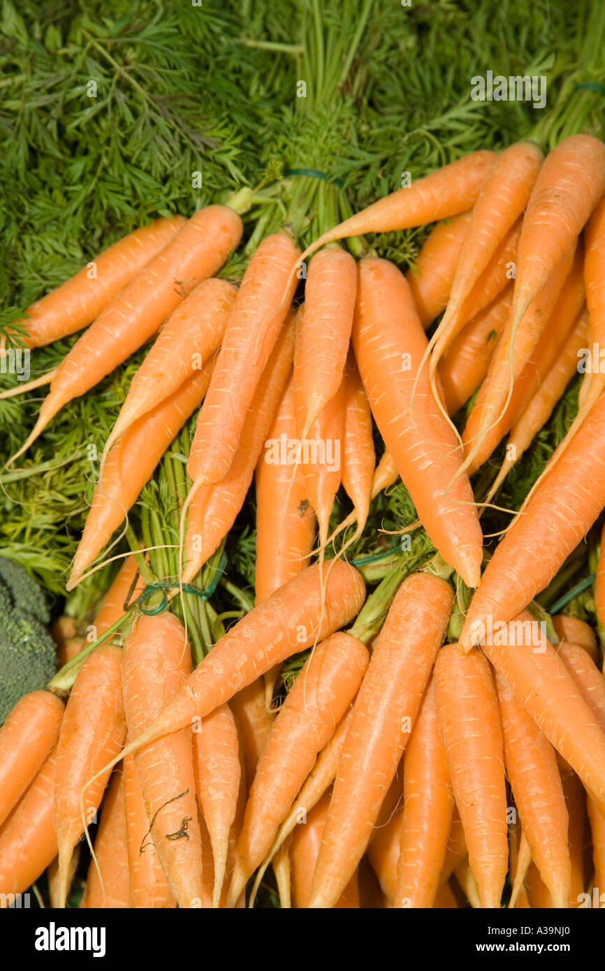 Farmed carrots hi-res stock photography and images - Alamy