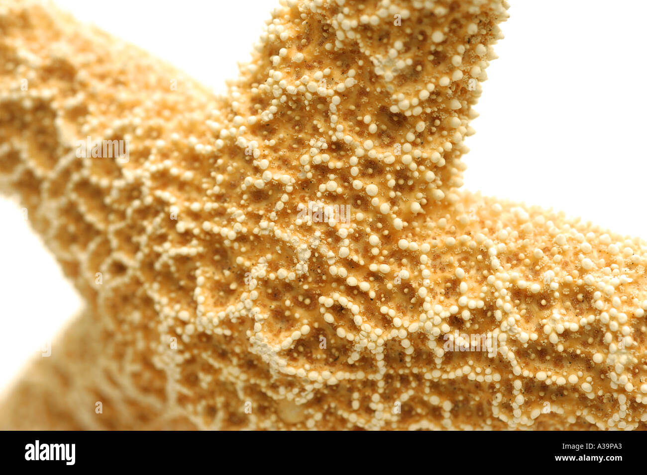 Ham3914 hi-res stock photography and images - Alamy