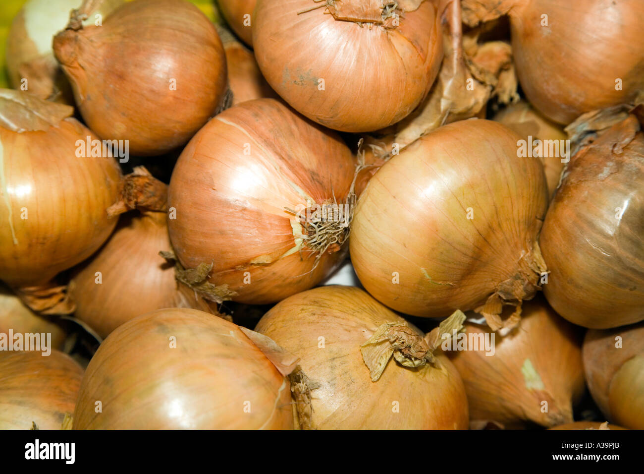 onions in a box Stock Photo - Alamy