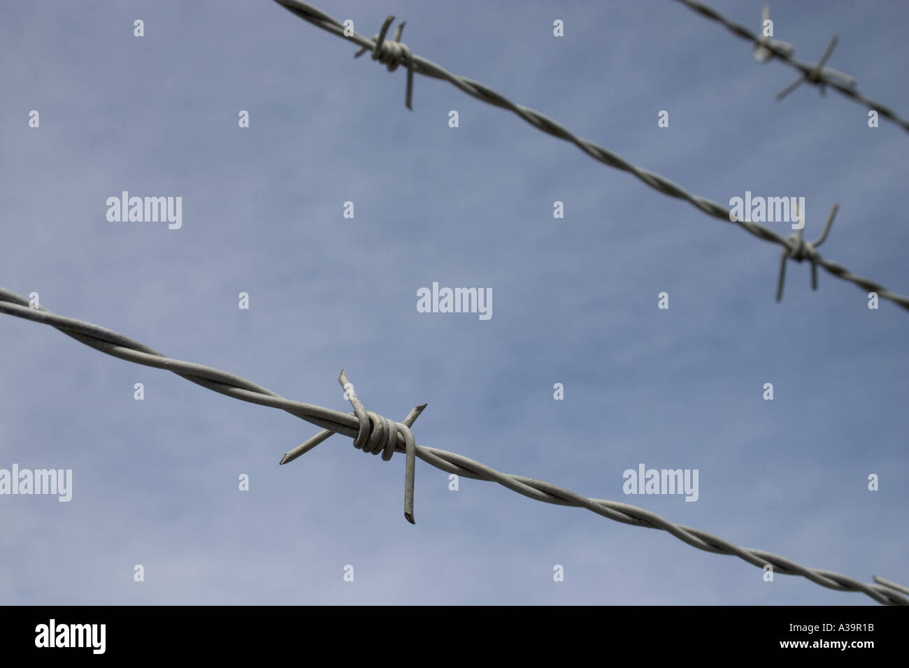 Three strands hi-res stock photography and images - Alamy