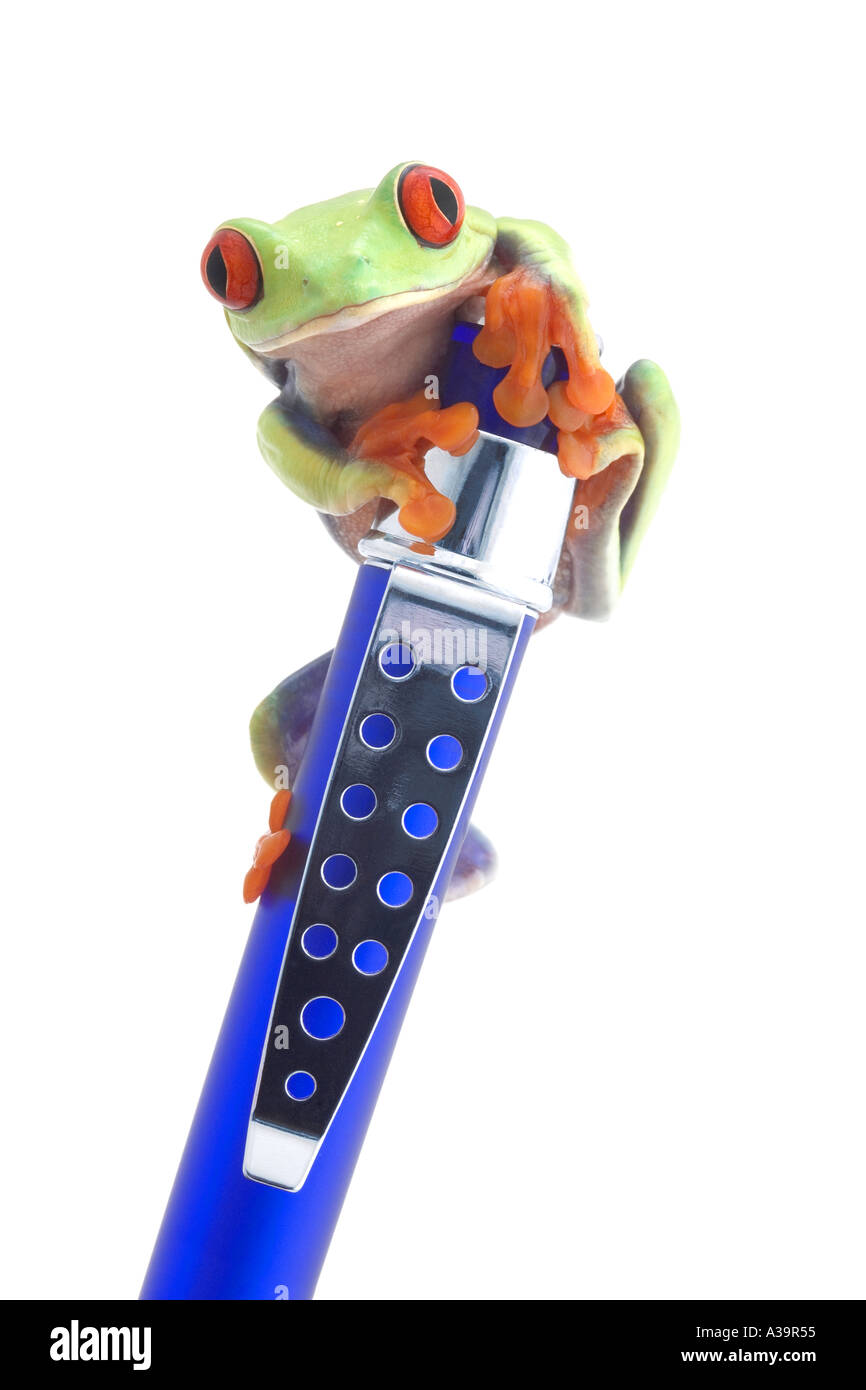 Monkey pen hi-res stock photography and images - Alamy