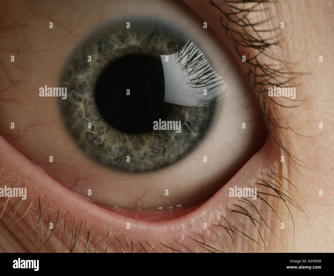 Distorted watch hi-res stock photography and images - Alamy