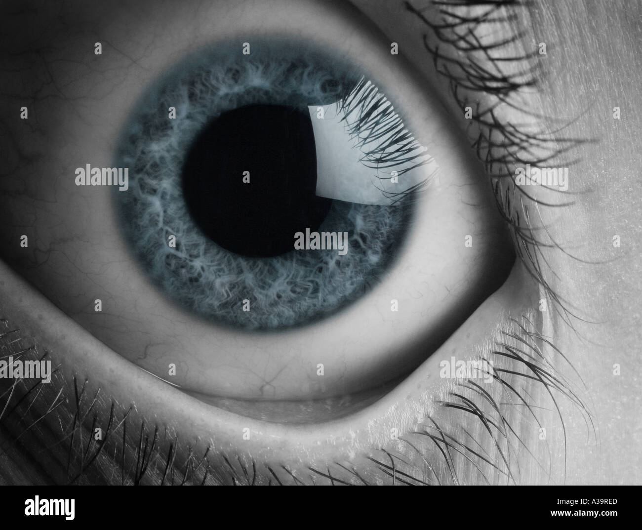 Eye w hi-res stock photography and images - Alamy