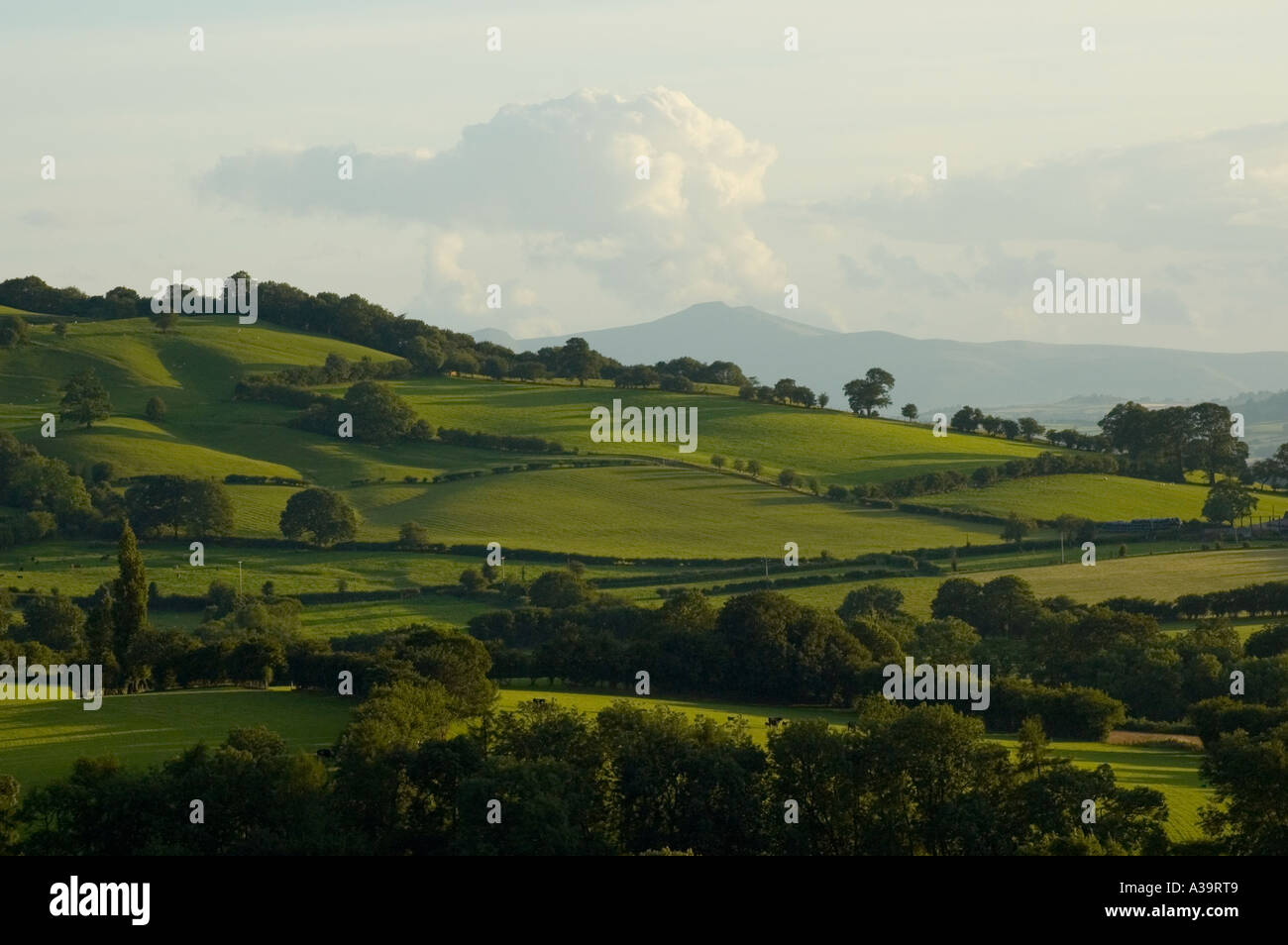 Farmland and Pen y Fan Mountain from Llanigon Hay on Wye Mid Wales ...