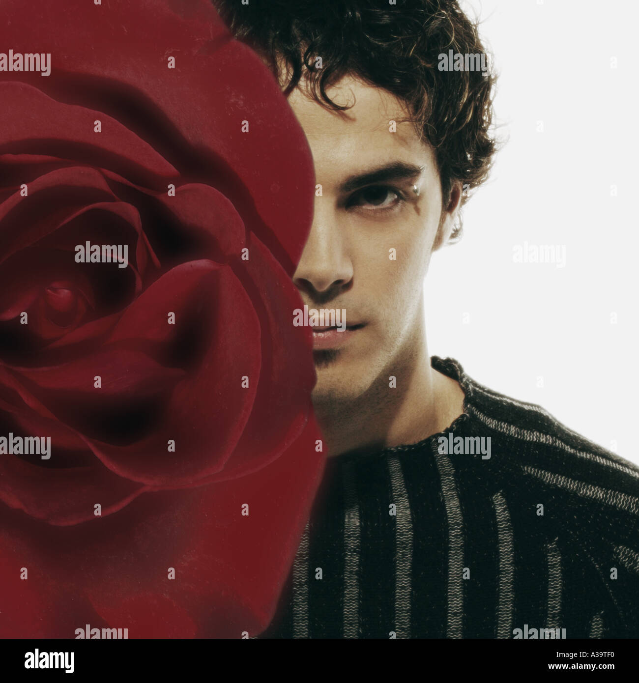 Male model hidden by red rose Stock Photo - Alamy