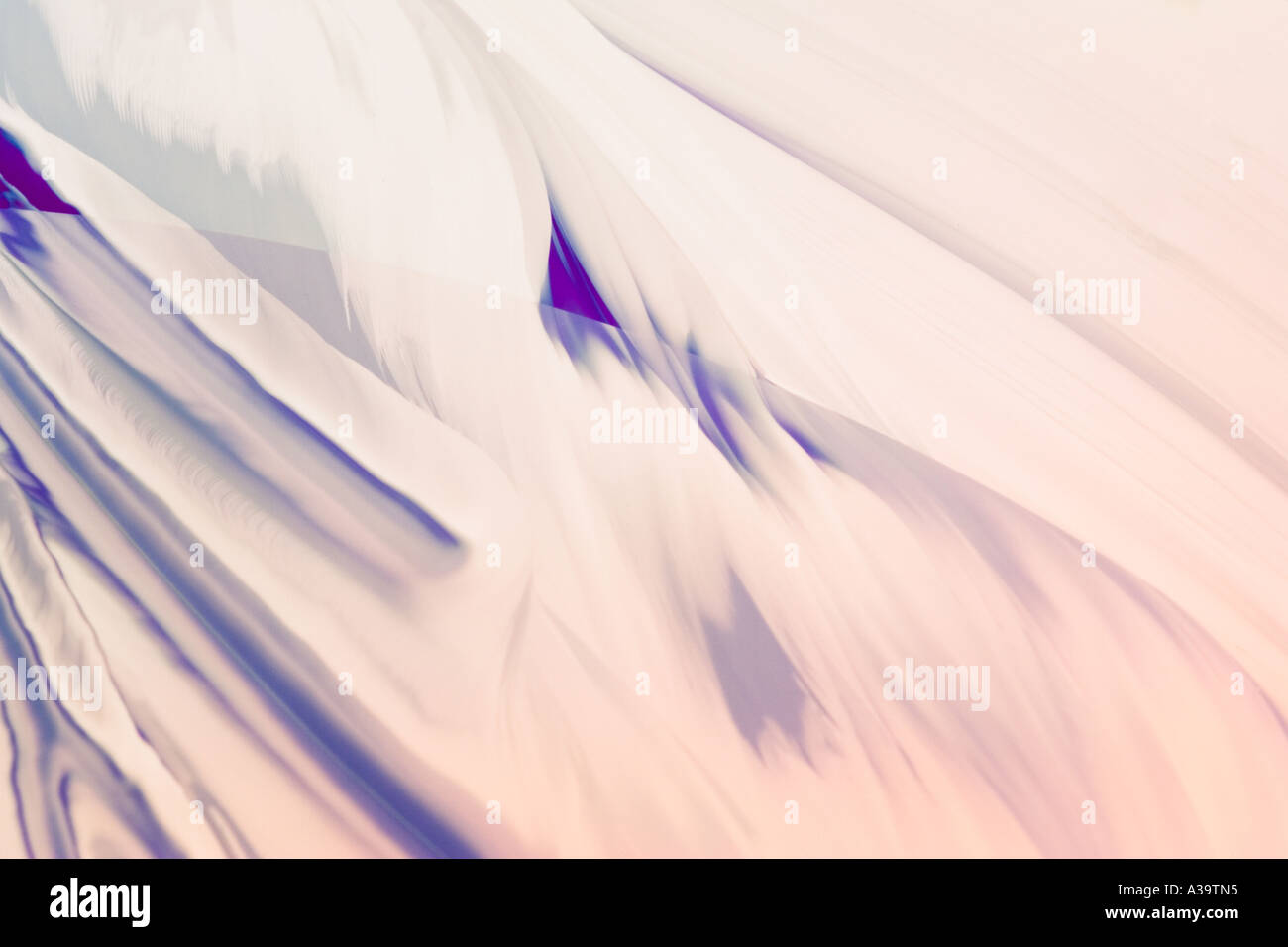 decorative natural form with beautiful tones Stock Photo - Alamy