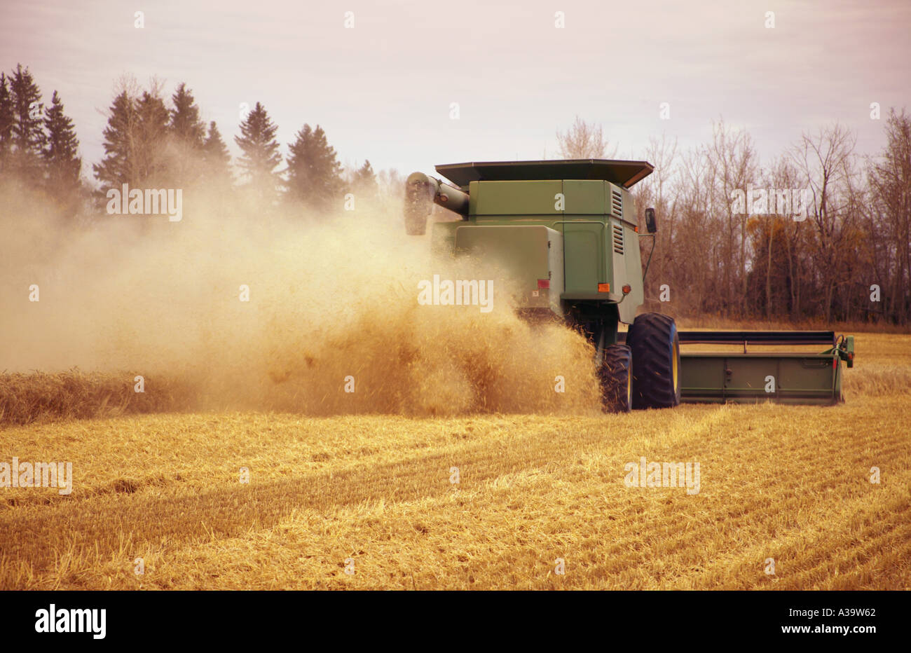 Combine harvester working Stock Photo - Alamy