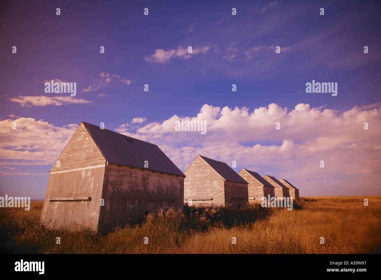 1773161 hi-res stock photography and images - Alamy