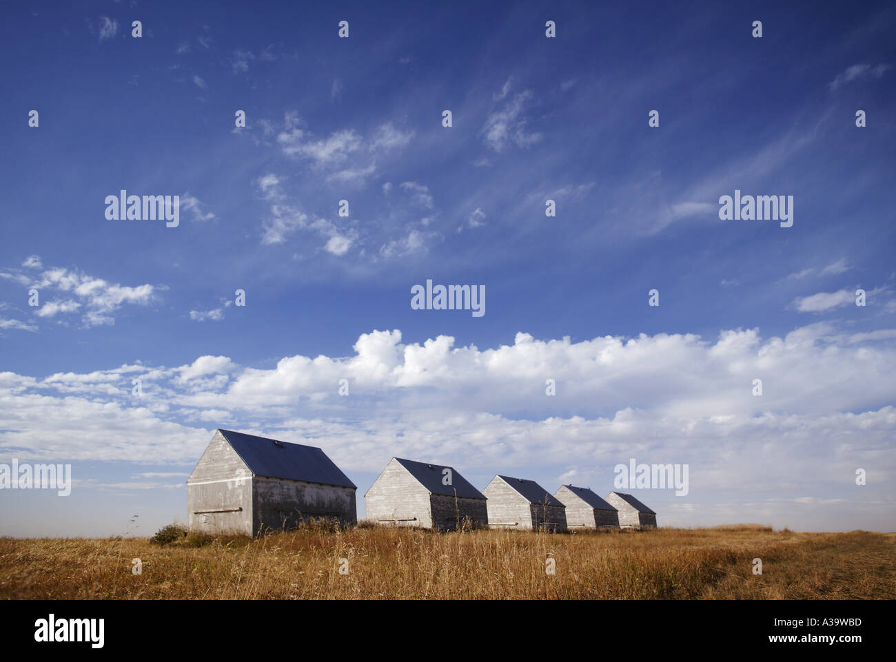 Row of old farm house Stock Photo - Alamy