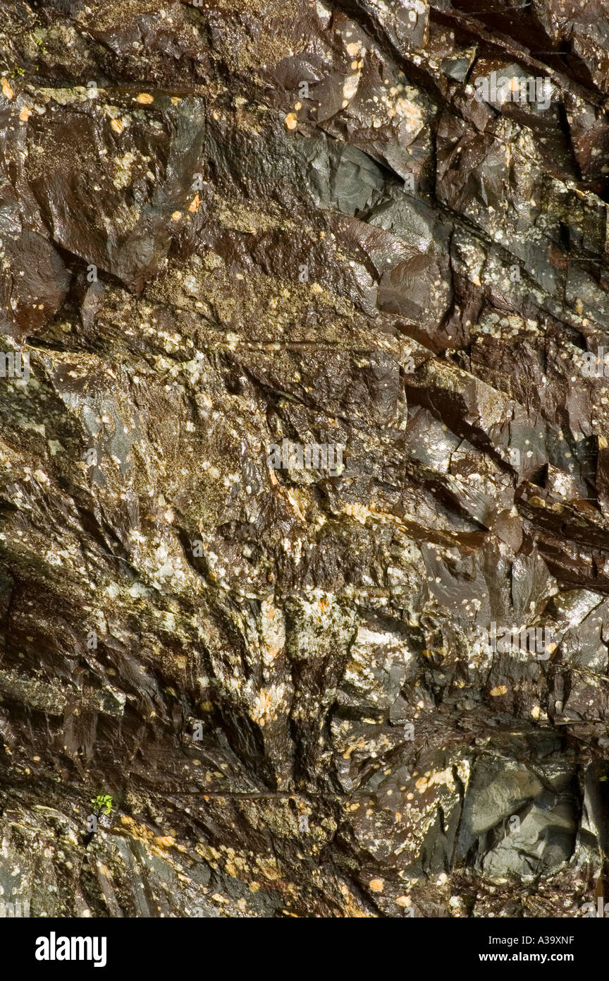Weathered Granite, Great Smoky Mtns Nat Park Stock Photo - Alamy