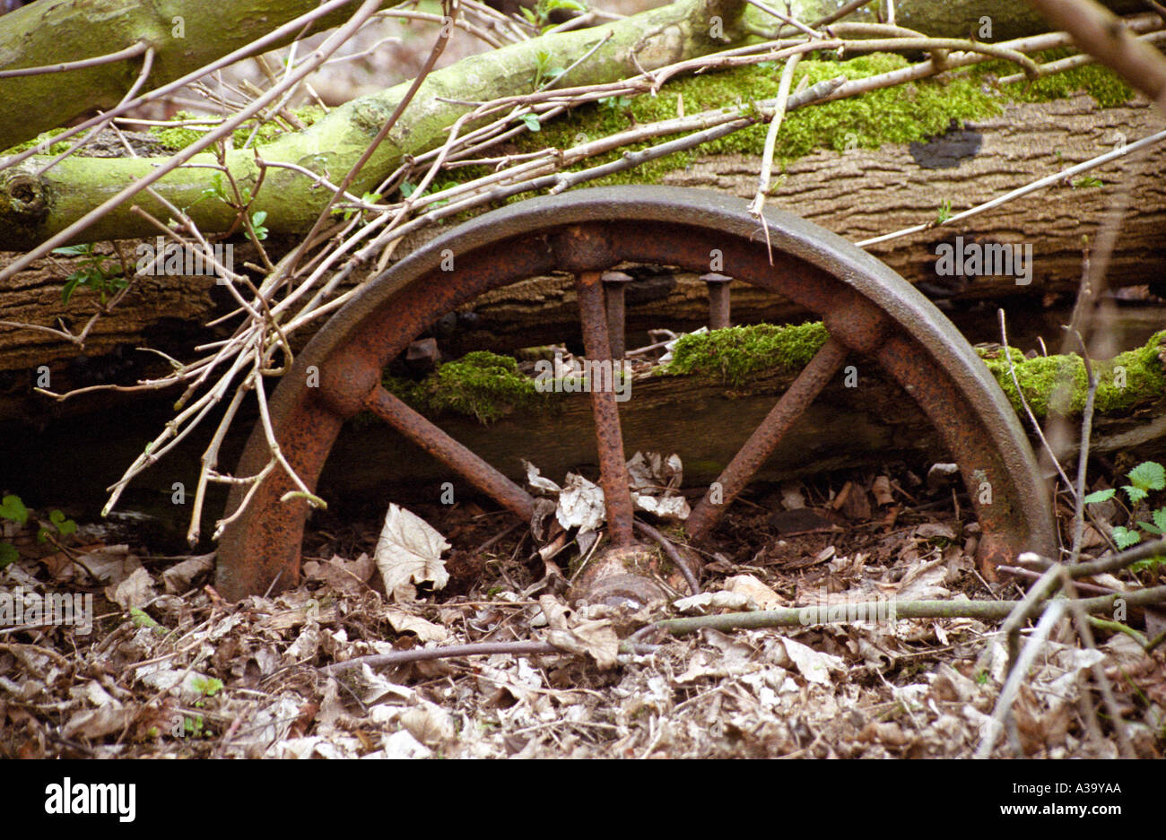 Fallen cart hi-res stock photography and images - Alamy