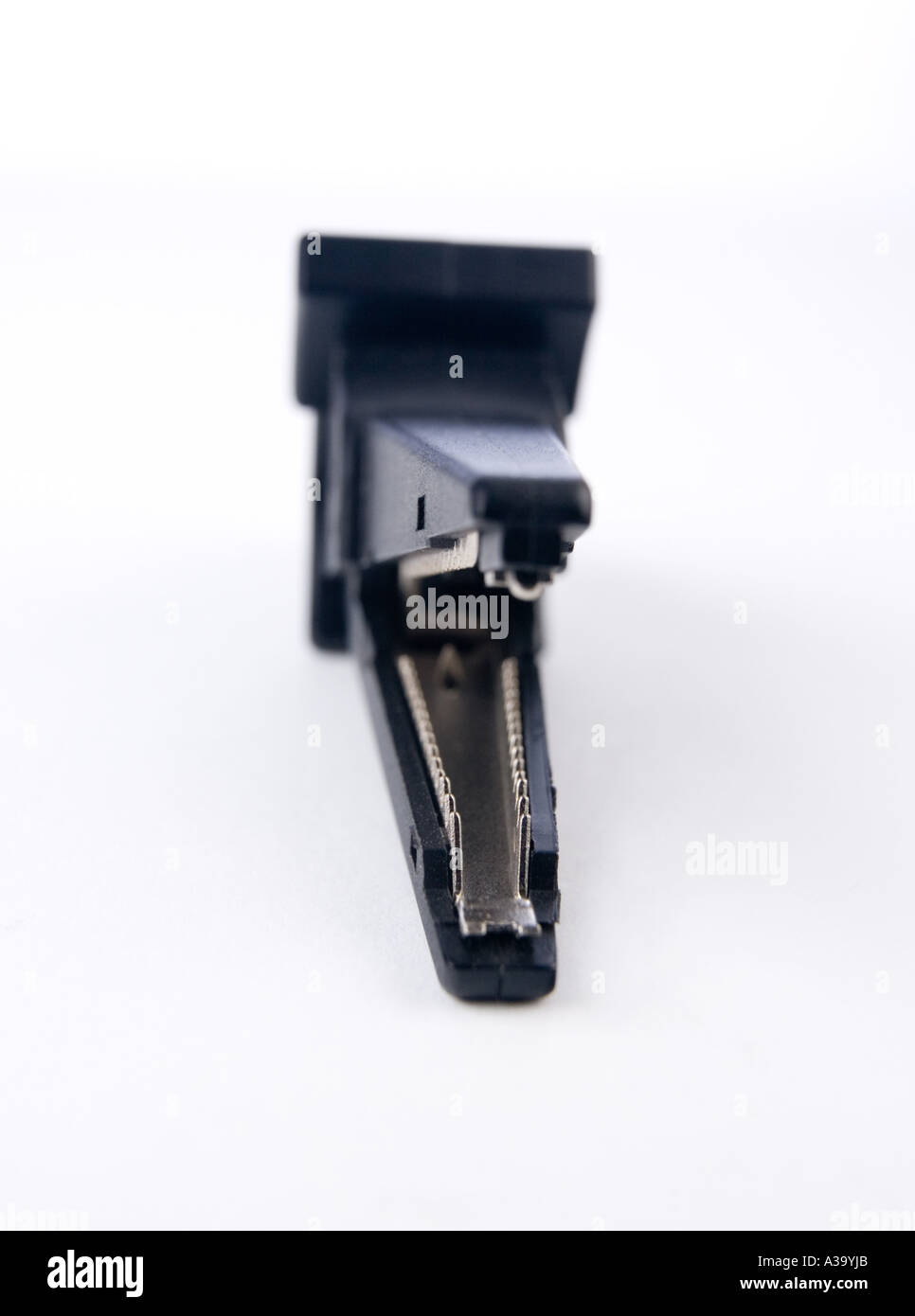 crocodile / alligator clip Stock Photo - Alamy