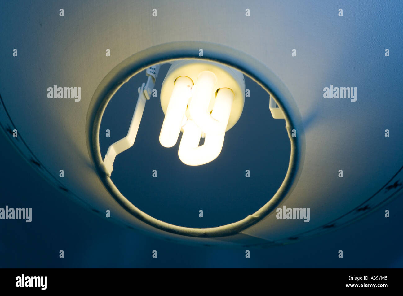 low wattage fluorescent light bulb Stock Photo - Alamy