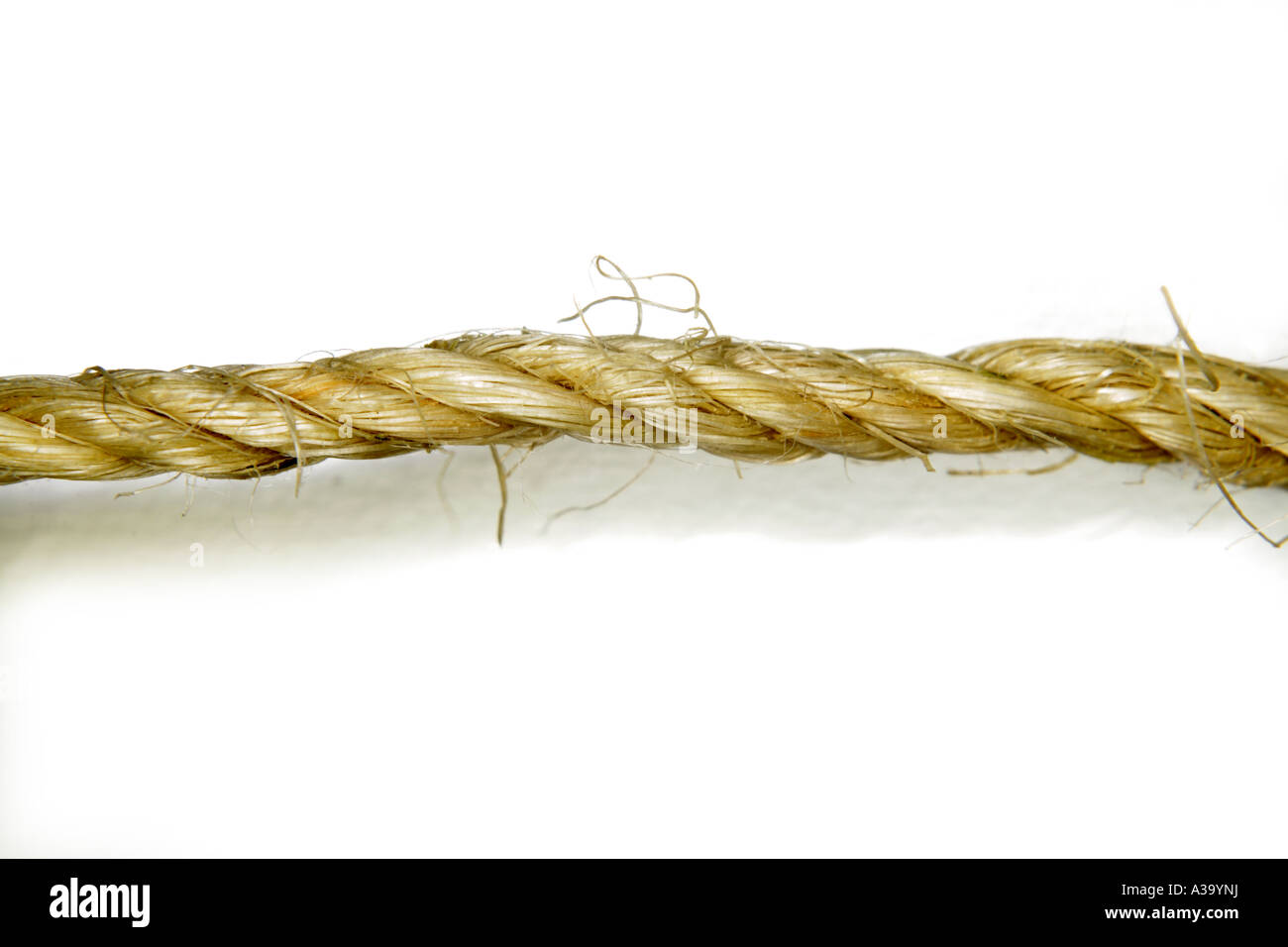 Rope isolated on white background Stock Photo - Alamy