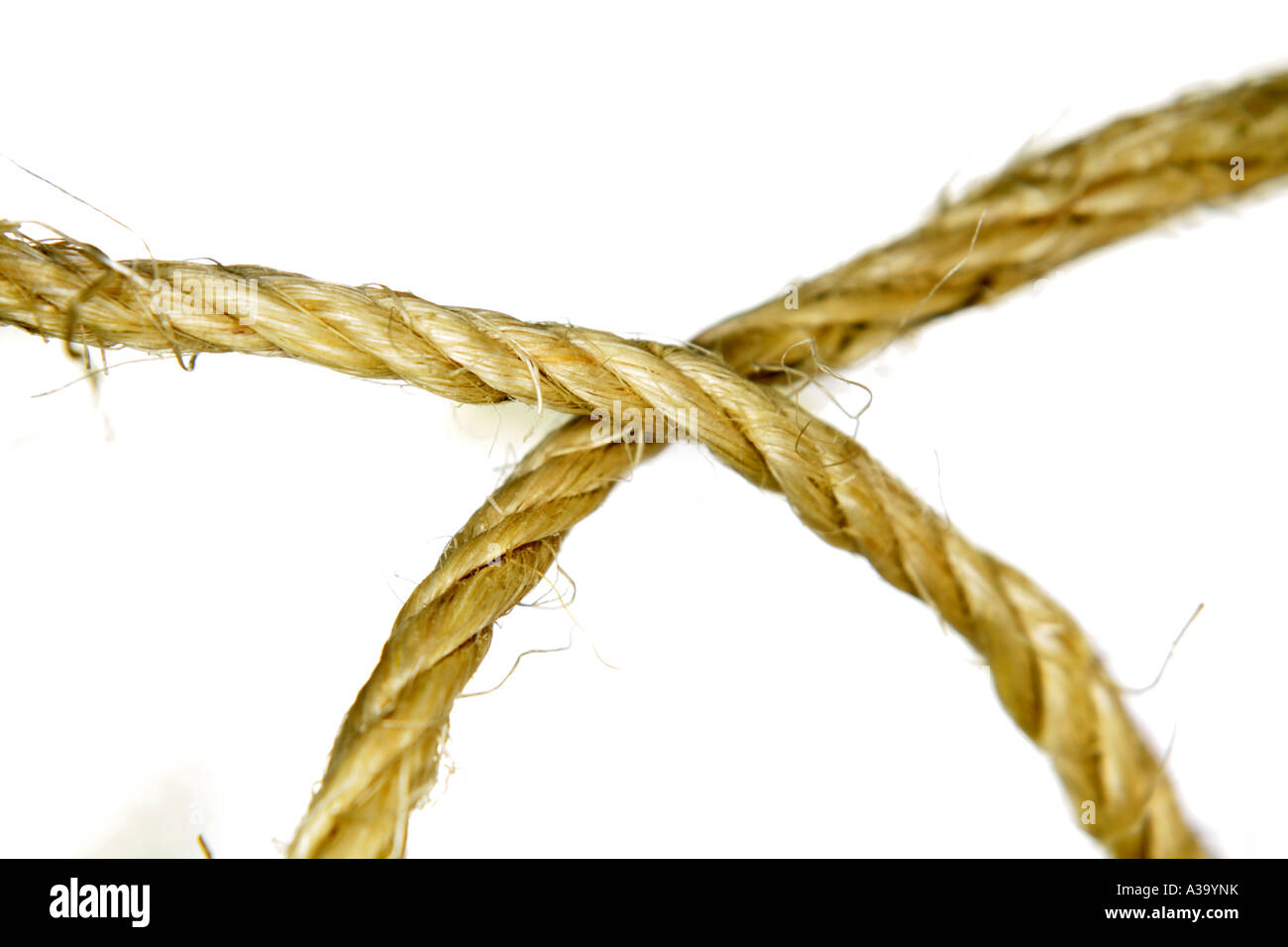 Ropes on white background Stock Photo - Alamy