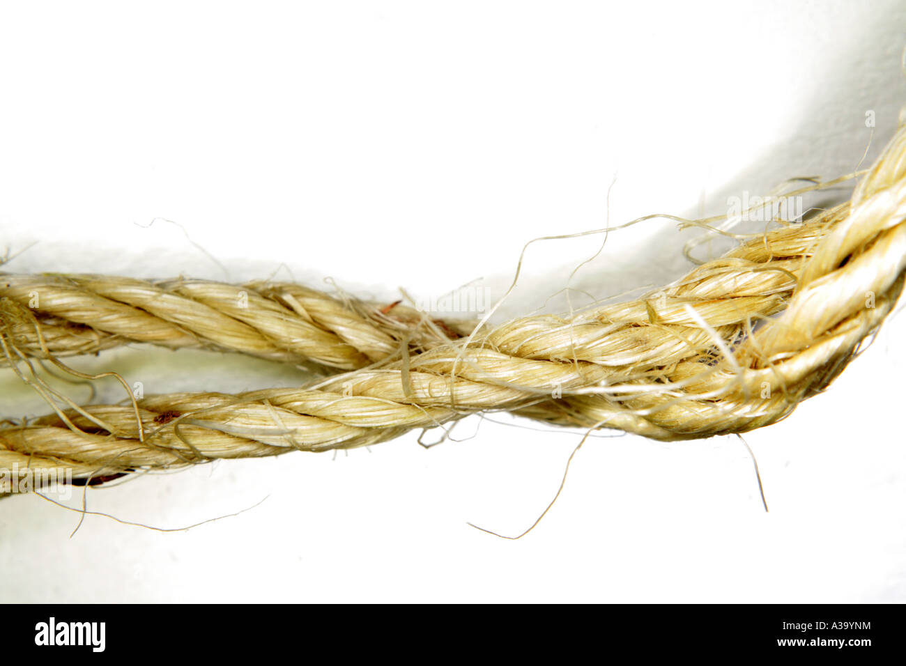 Ropes twisted together Stock Photo - Alamy