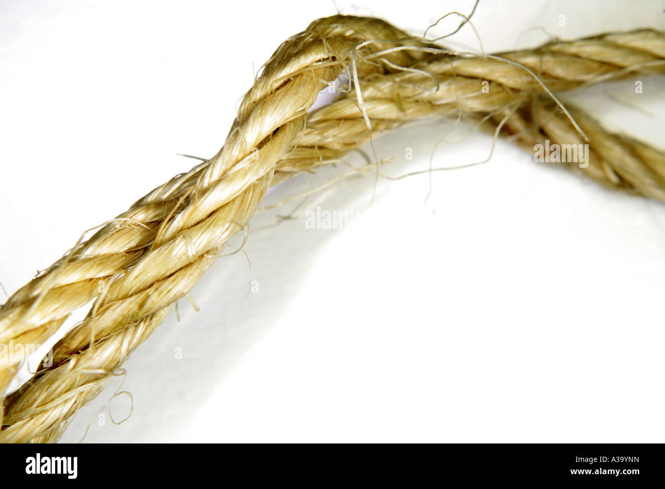 Ropes twisted together Stock Photo - Alamy