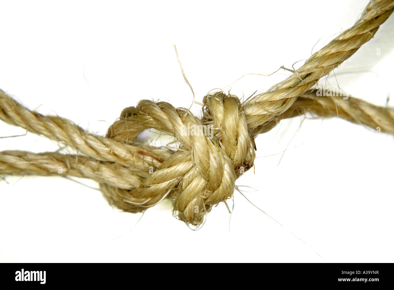 Knot in ropes Stock Photo - Alamy