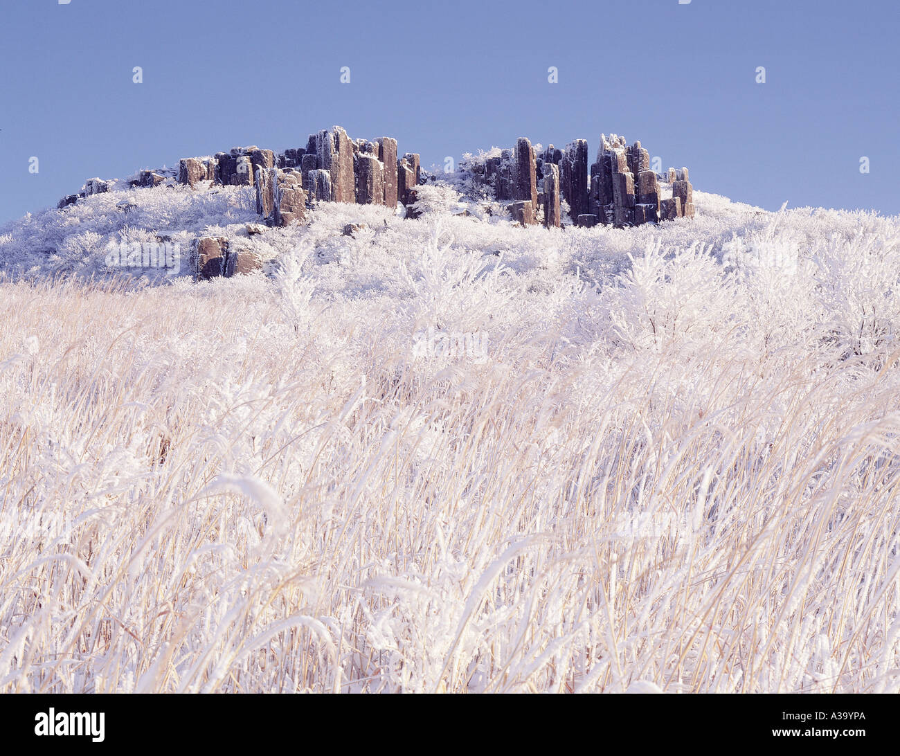 Mudung hi-res stock photography and images - Alamy