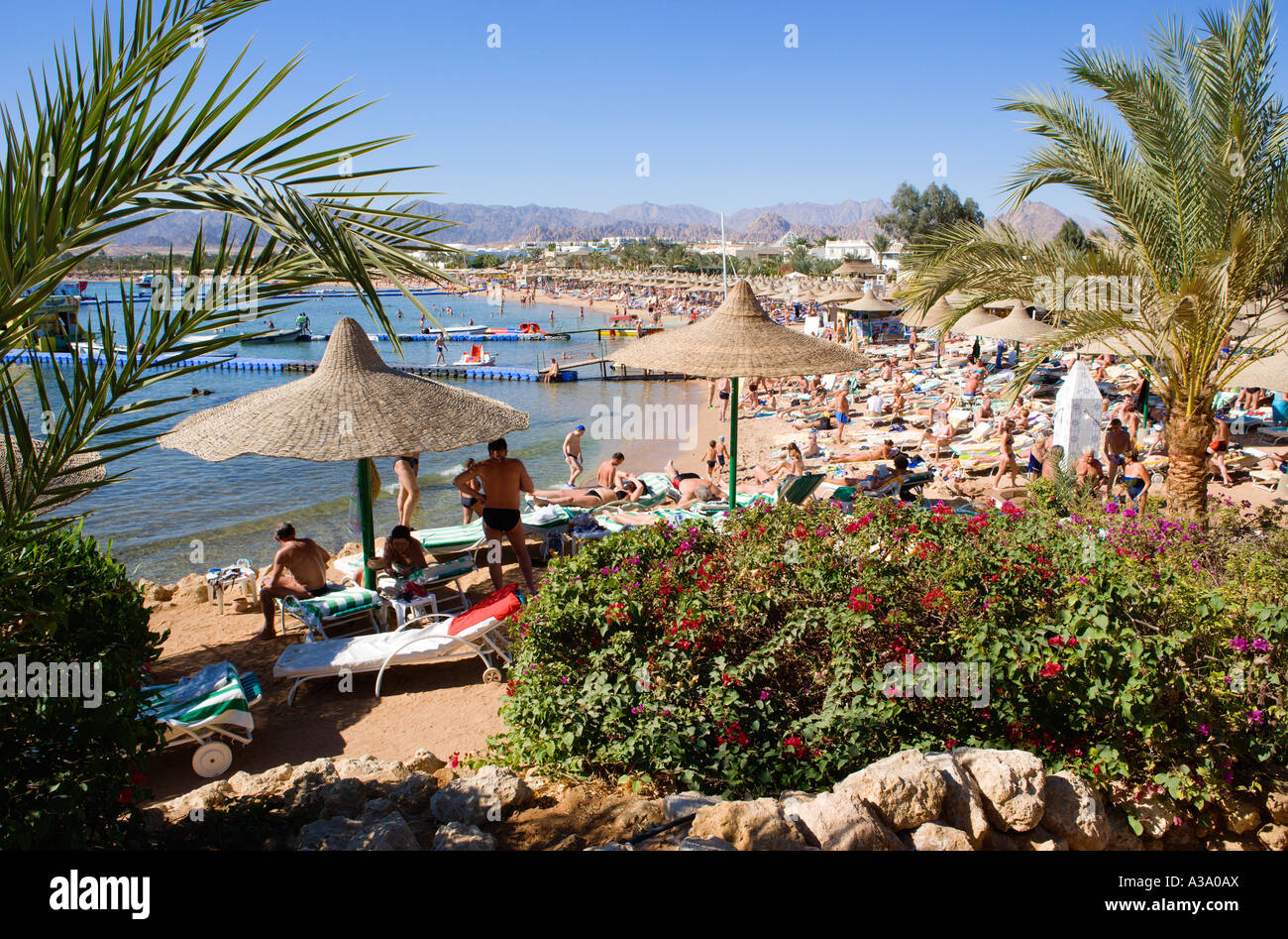 People Relaxing on beach Naama Bay Sharm El Sheikh Egypt Stock Photo ...