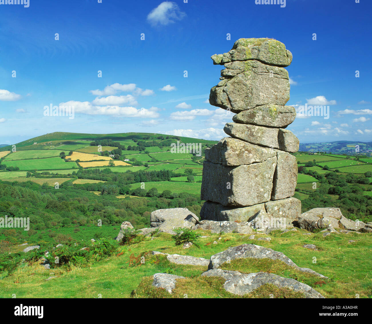 Bowerman s nose hi-res stock photography and images - Alamy
