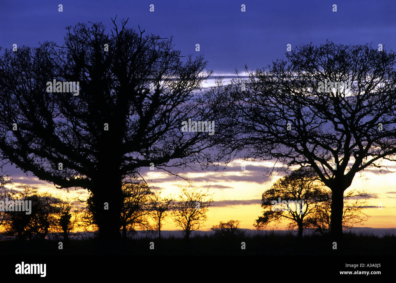 Snape Suffolk Winter Stock Photos & Snape Suffolk Winter Stock Images ...