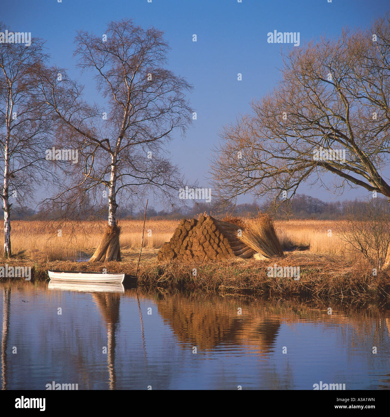 Reed sheaves hi-res stock photography and images - Alamy