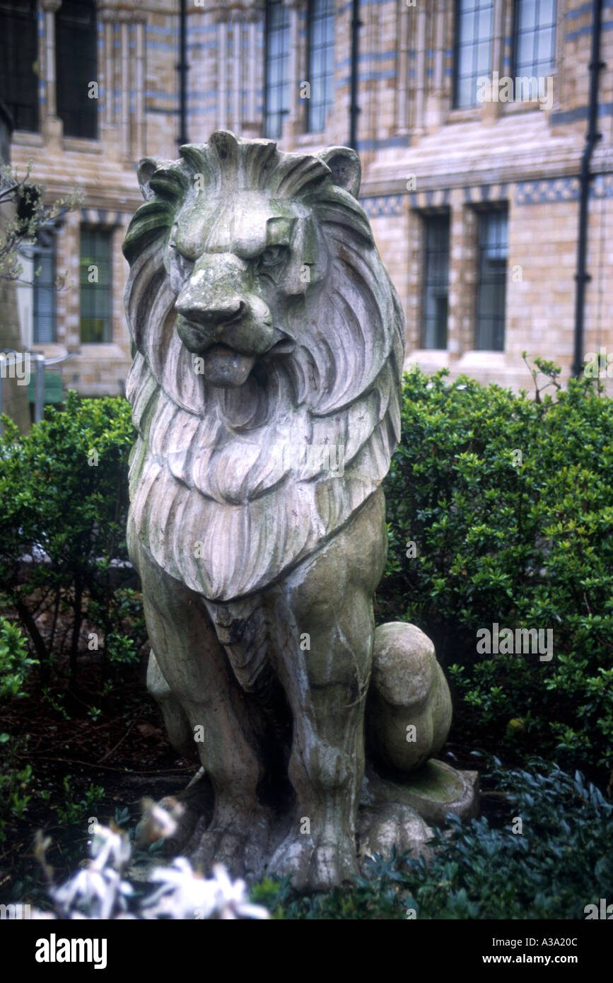 March 15th 2002 A statue of a lion outside the Natural History Museum ...