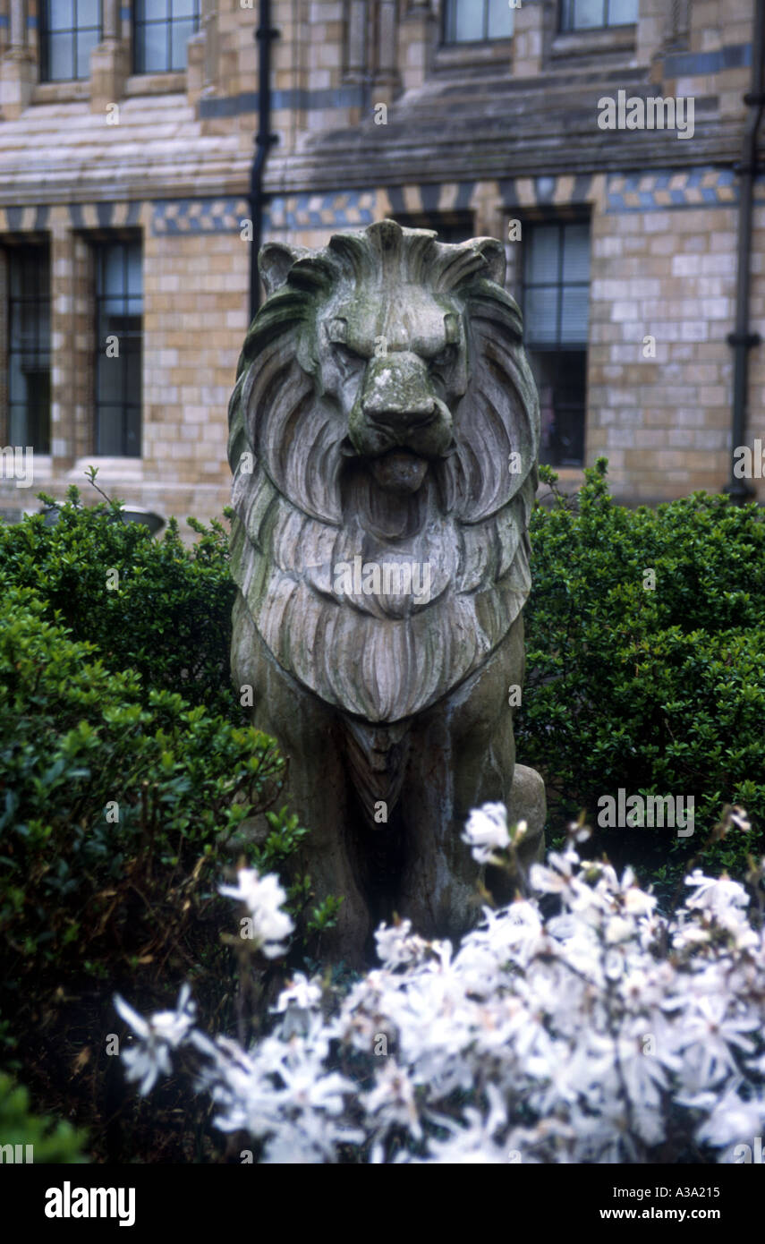 March 15th 2002 A statue of a lion outside the Natural History Museum ...