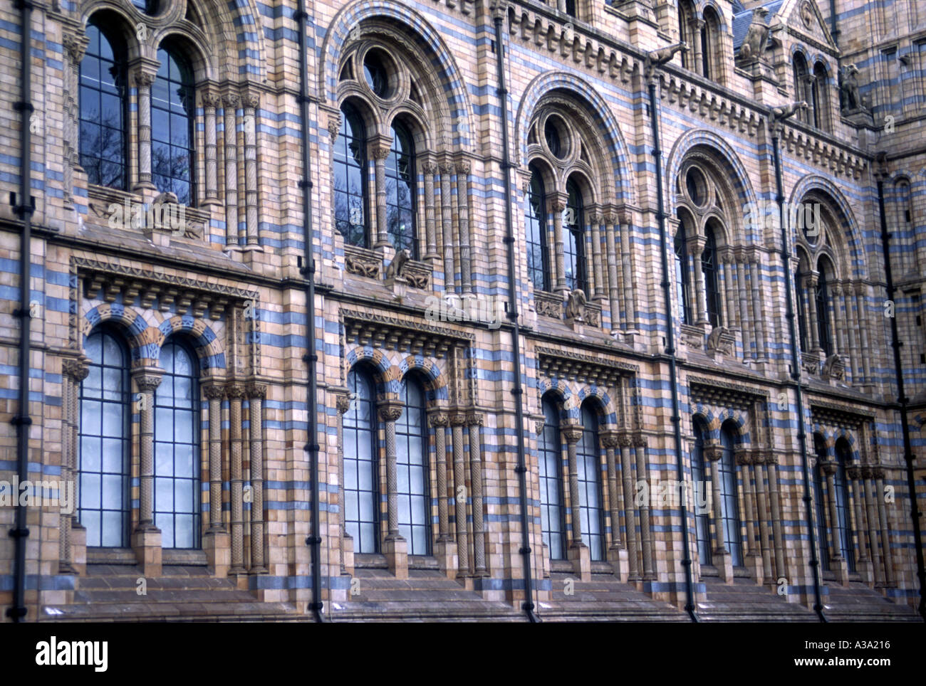 March 15th 2002 The Natural History Museum London England Stock Photo ...