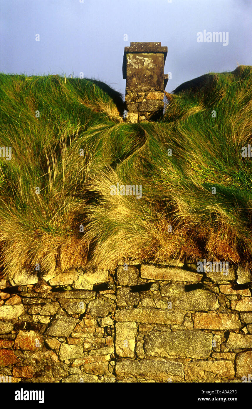 July 2001 County Sligo Ireland Grass grows on the roof of a dilapidated ...