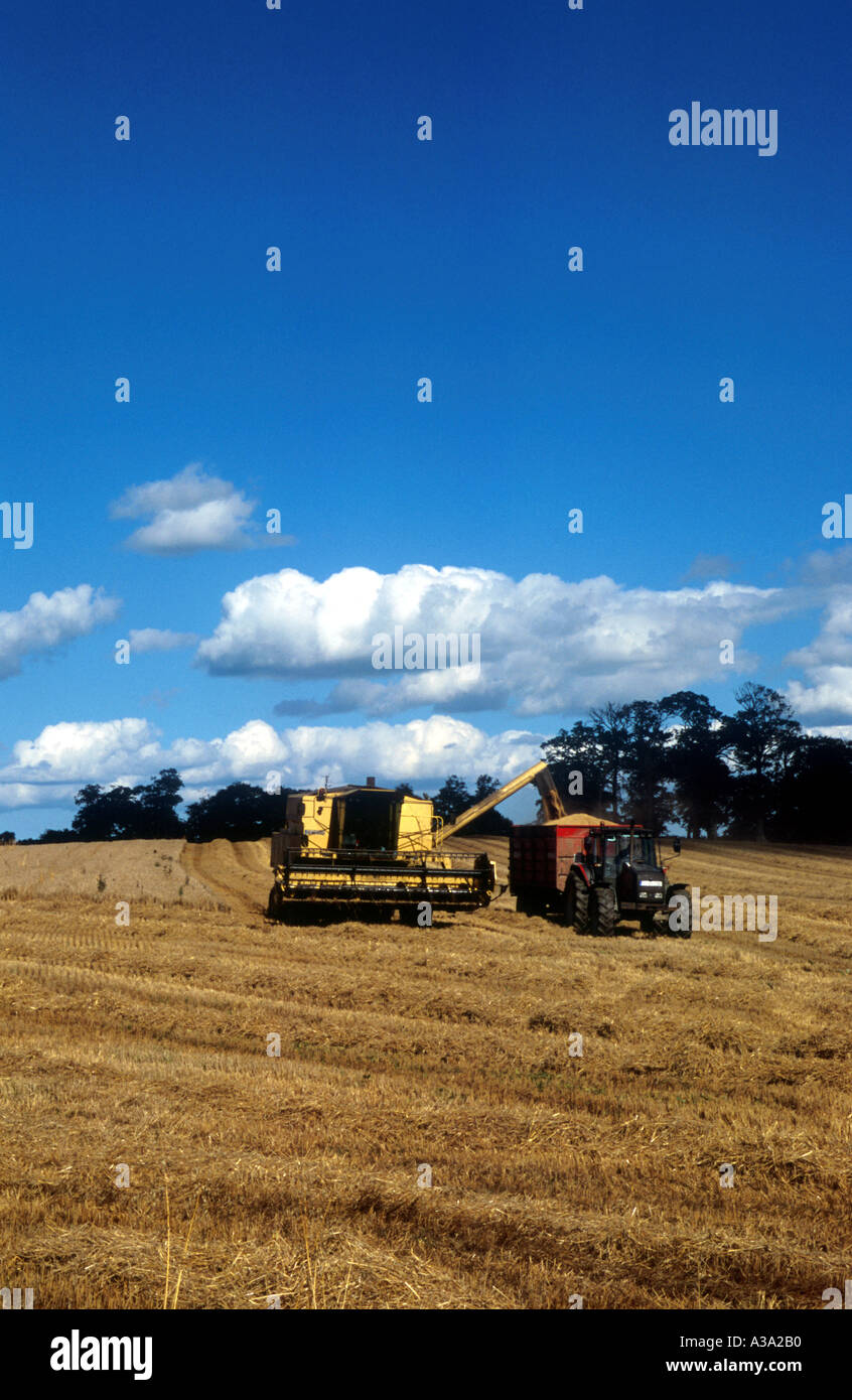 May 02 2002 Trim County Meath IRELAND A combine harvester at work in a ...