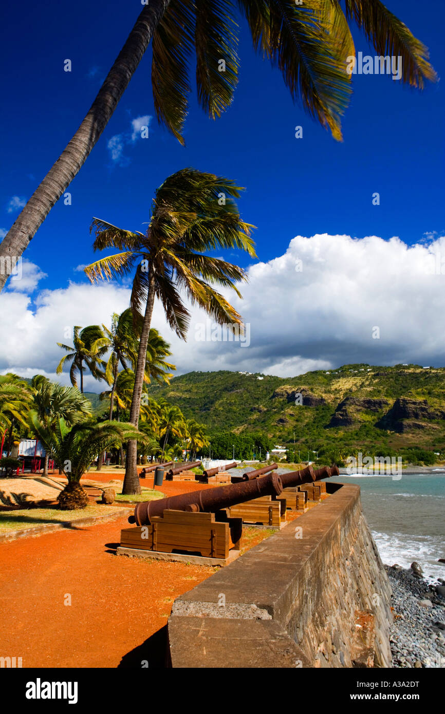 Palm trees waving in breeze hi-res stock photography and images - Alamy