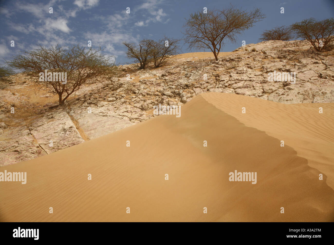 Desert scene in Al Ain, Abu Dhabi Stock Photo - Alamy