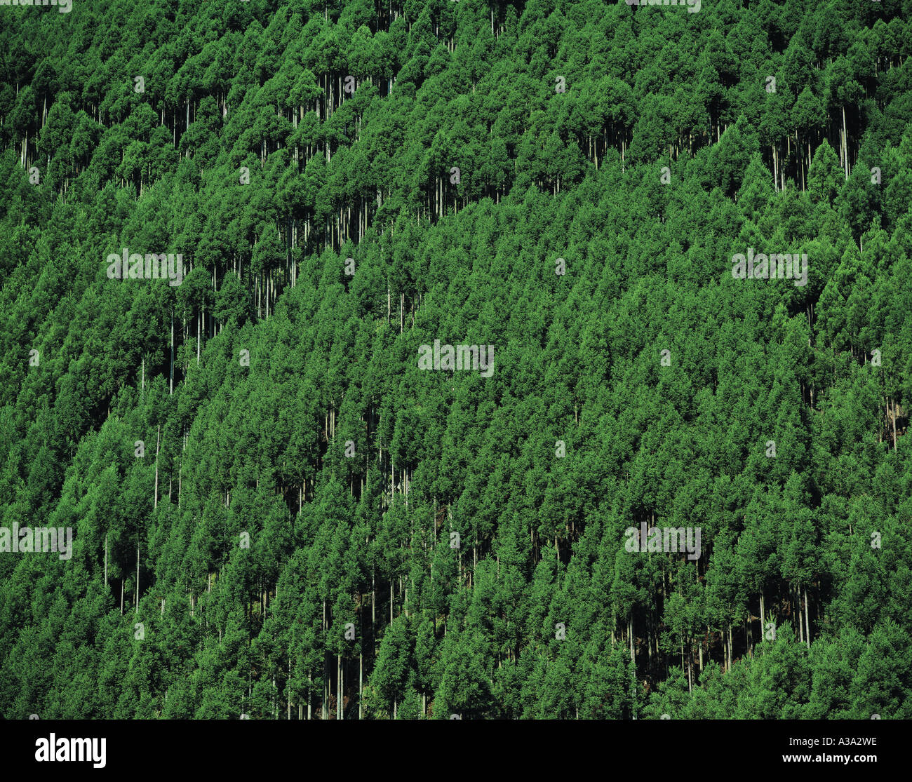 Conserve exterior hi-res stock photography and images - Alamy