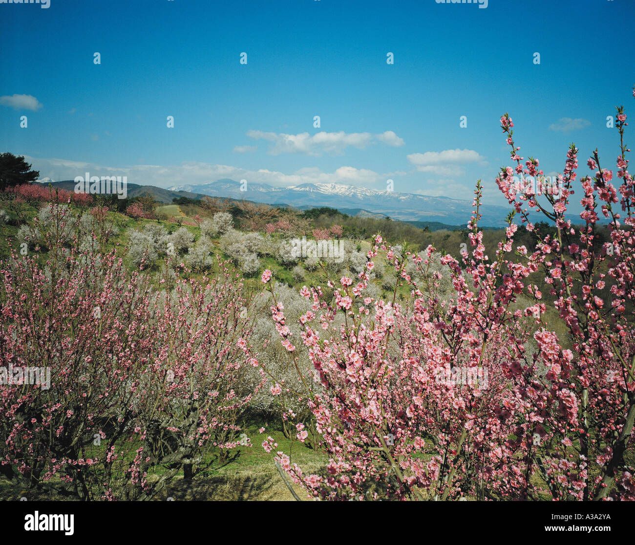 Fuel daytime daylight hi-res stock photography and images - Alamy