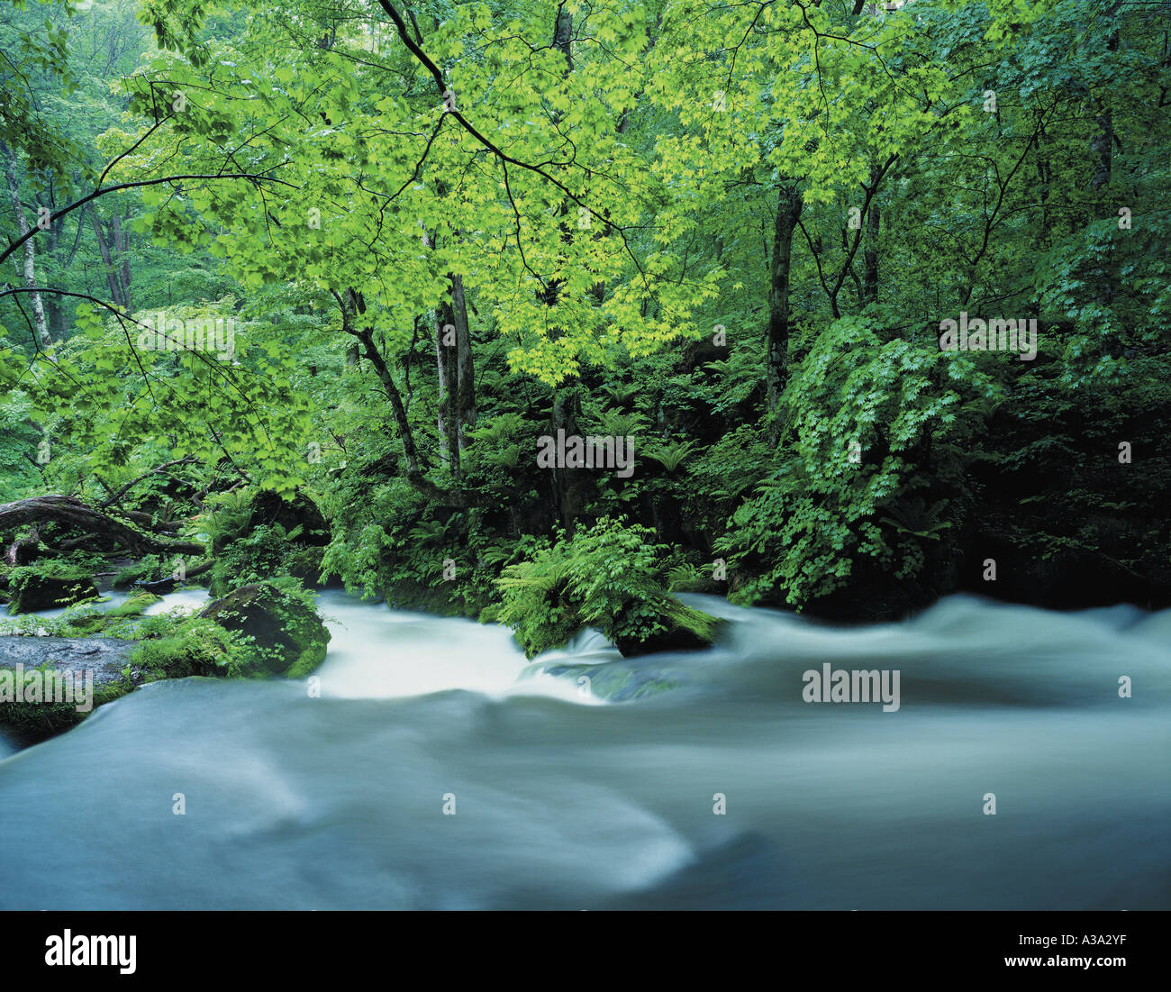 Daylight canyons hi-res stock photography and images - Alamy