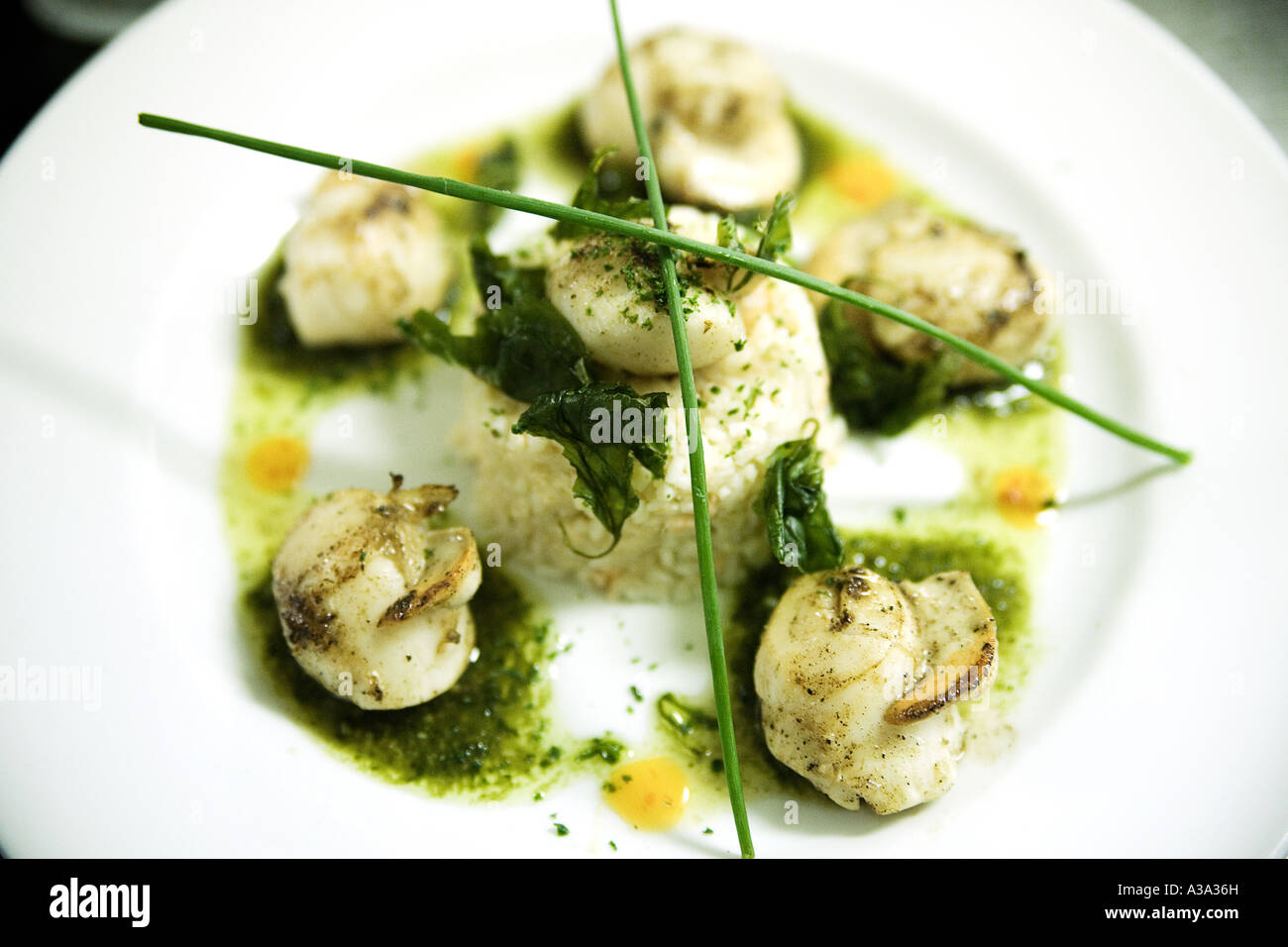 Plate of gourmet scallops Stock Photo - Alamy