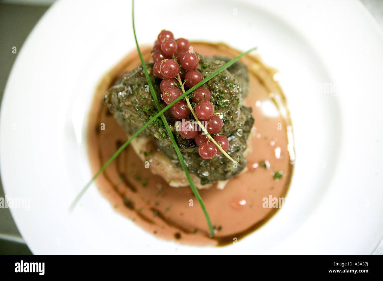 Plate of gourmet venison Stock Photo - Alamy