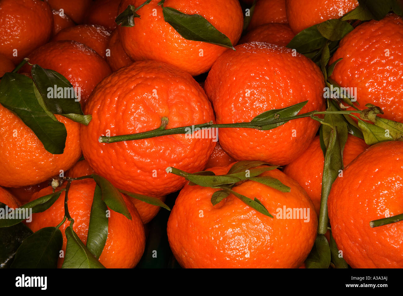 Spanish oranges hi-res stock photography and images - Alamy