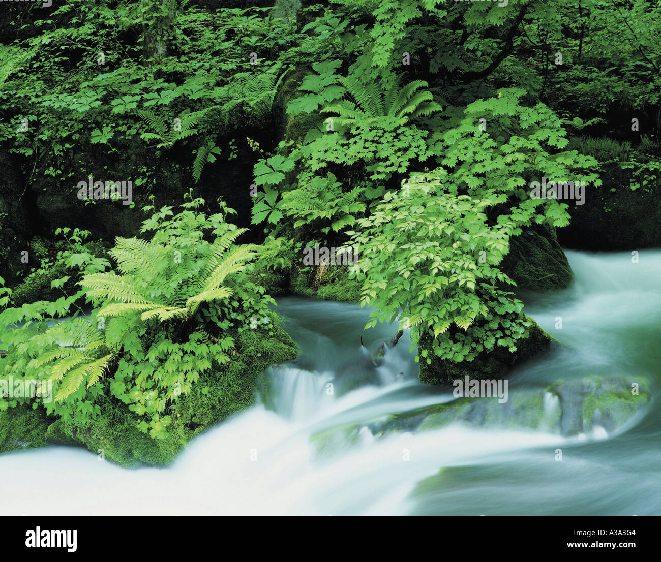 Daylight canyons hi-res stock photography and images - Alamy