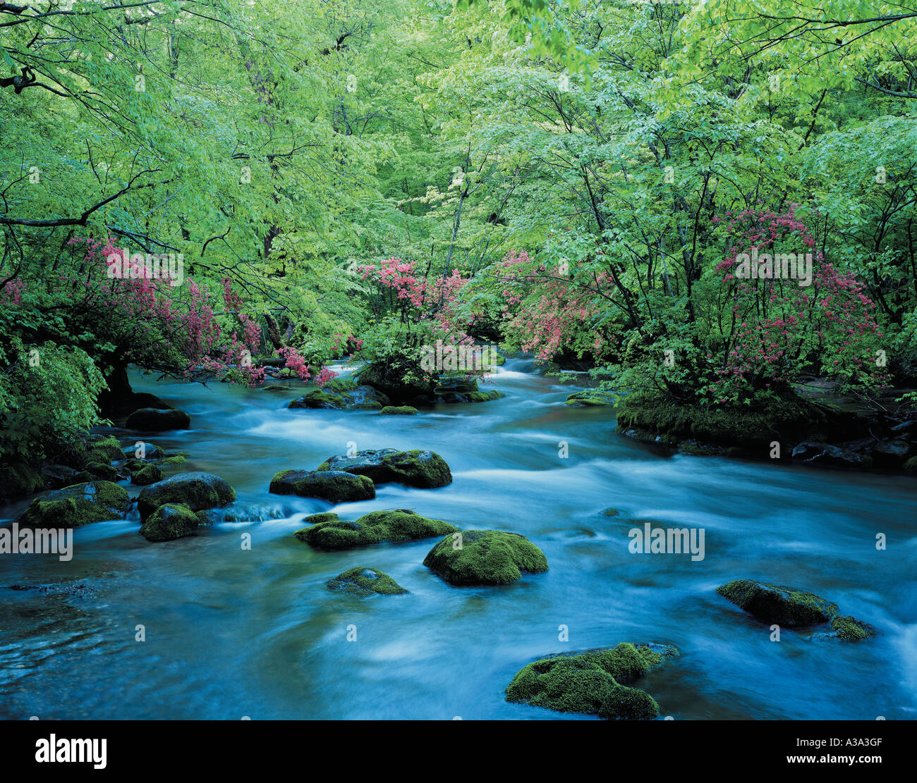 Outdoor exterior day daytime daylight nature scene scenery landscape ...