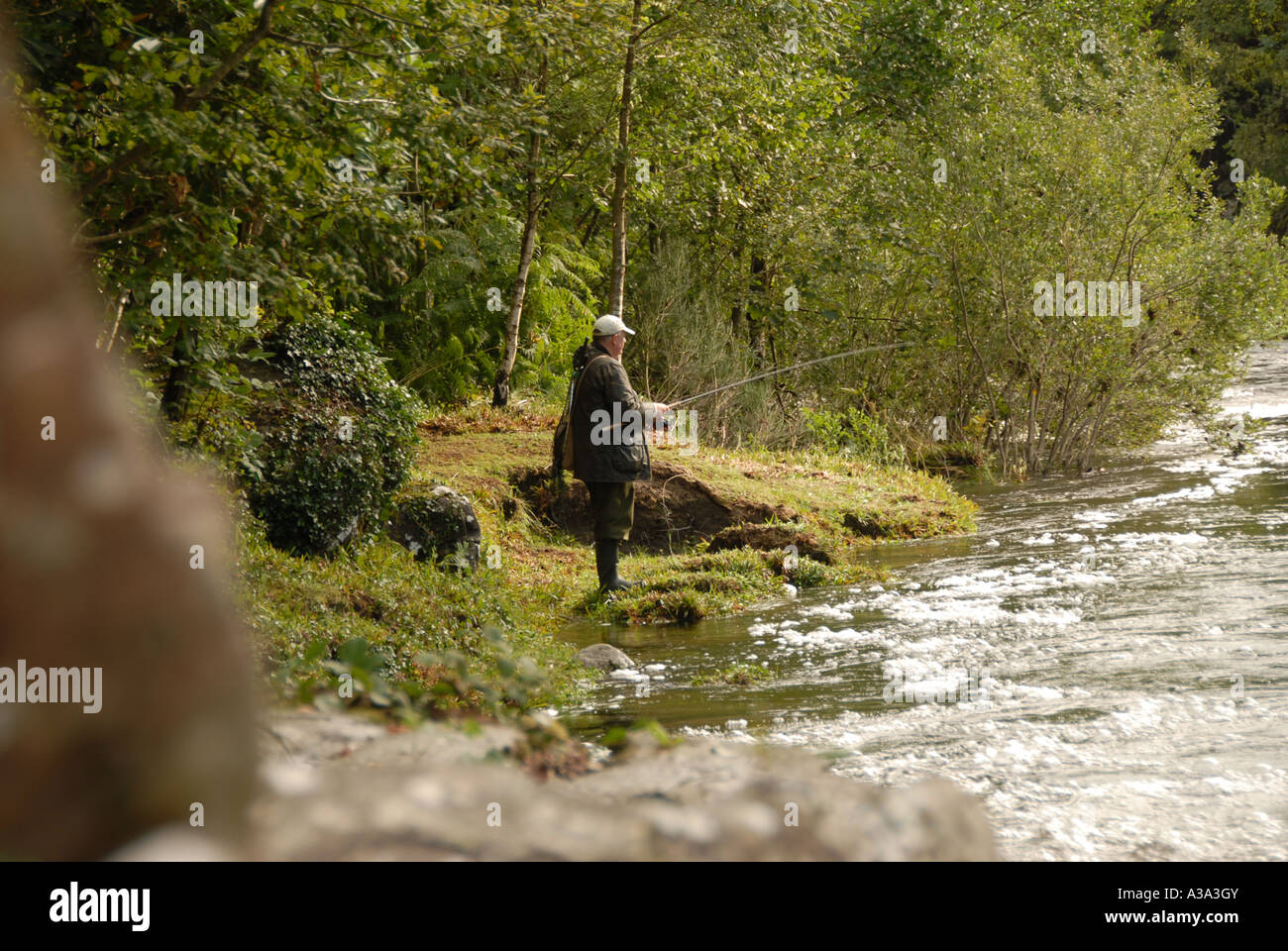 Salmon Fishing in River Conwy Llanrwst Snowdonia North West Wales Stock ...