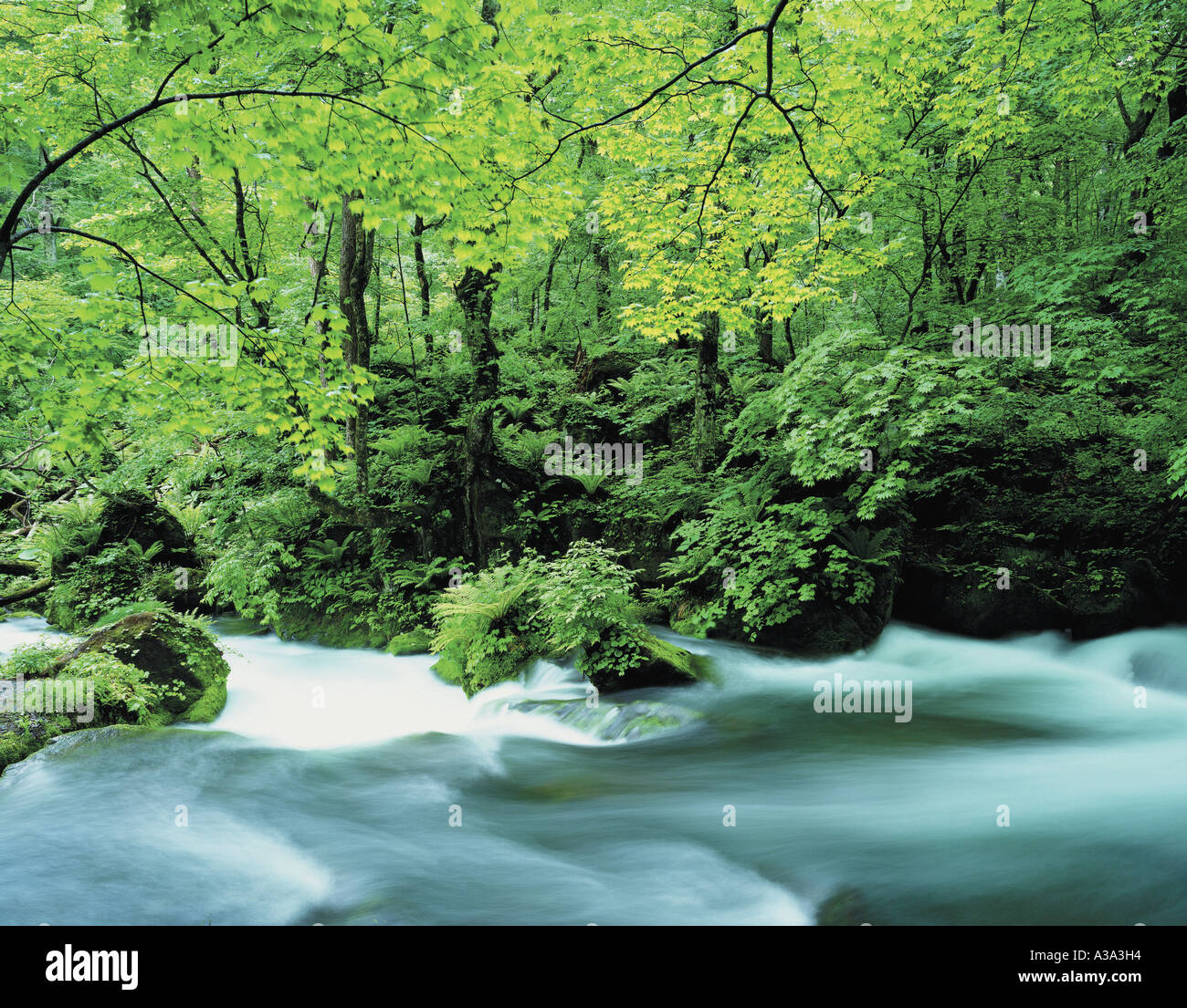Outdoor exterior day daytime daylight mountain tree forest trees hi-res ...