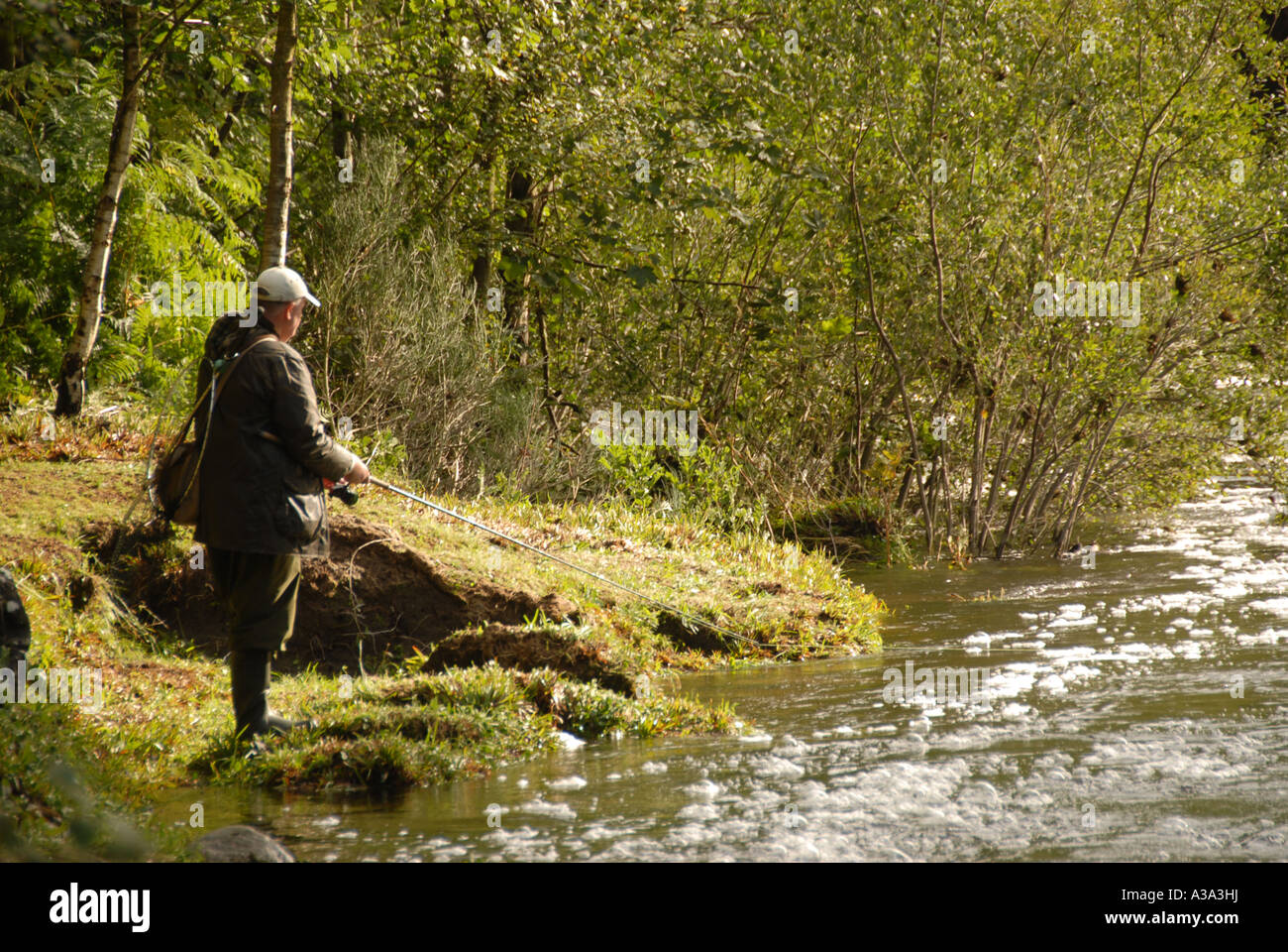 Salmon Fishing in River Conwy Llanrwst Snowdonia North West Wales Stock ...