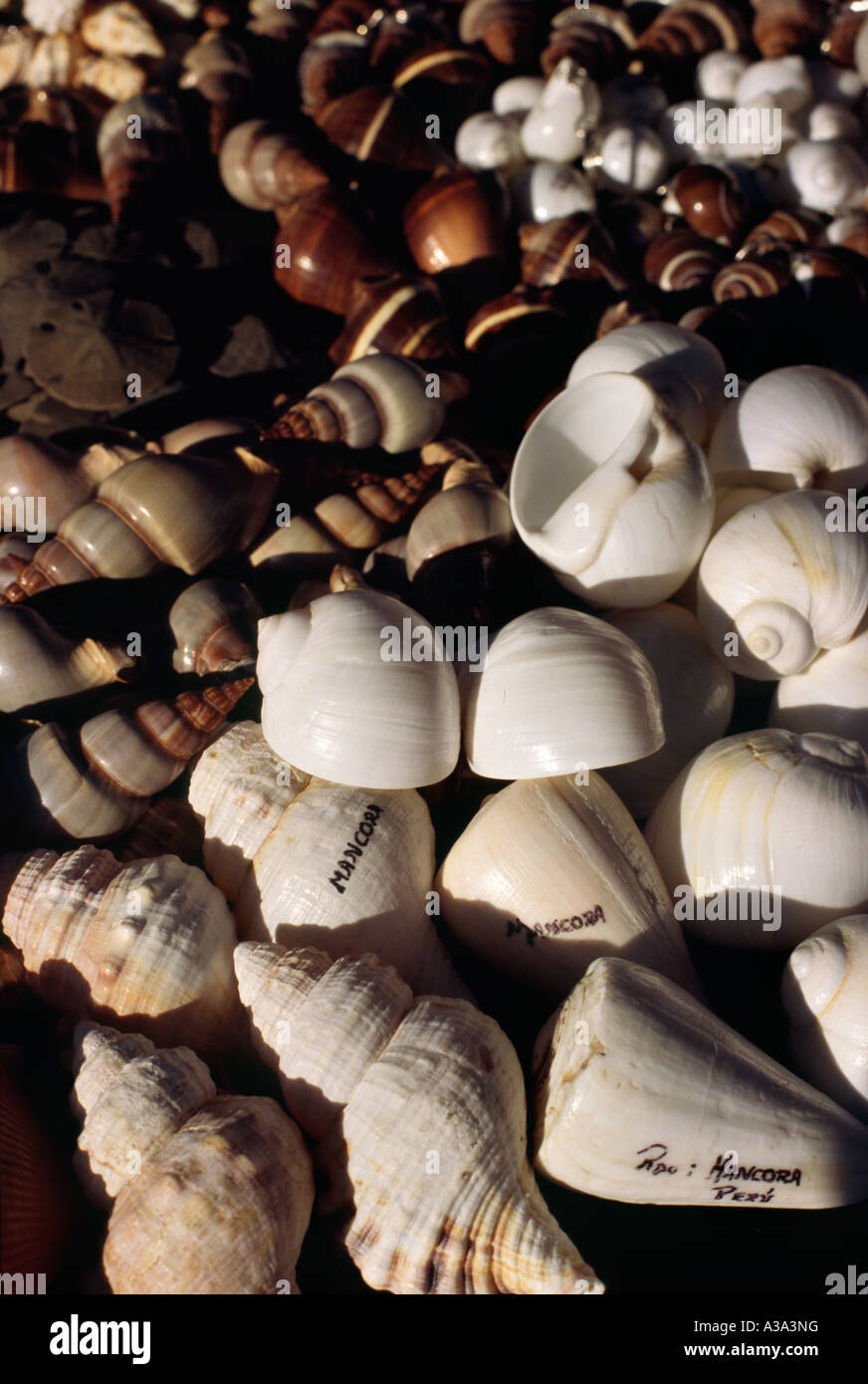 Seashell souvenirs - Máncora, Piura, PERU Stock Photo - Alamy
