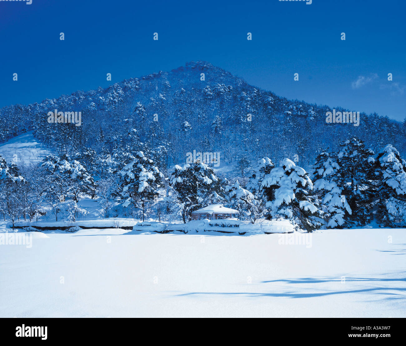 Outdoor exterior day daytime daylight mountain tree forest trees hi-res ...